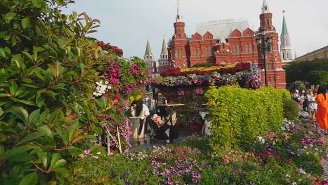 Фестиваль «Цветочный джем: Тропическое лето» (26.07.2022)