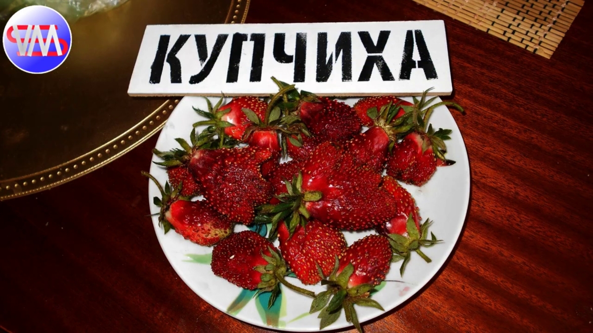 Нахрена клубнике лазер