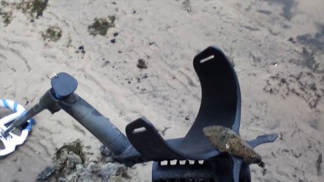 Поиск на берегах Волги с металлоискателем.