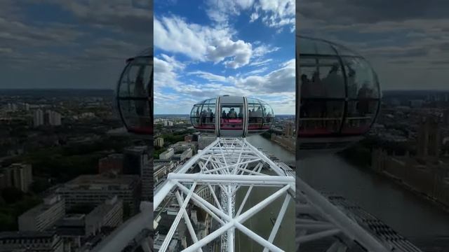 VID_20221228_193533_643.mp4