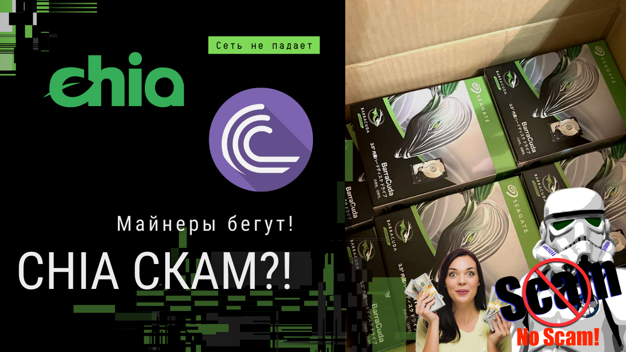 Chia СКАМ?! Майнеры в панике продают монеты и оборудование!