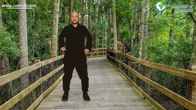 Упражнение для почек. Дыхательная практика для восстановления почек. К. Перо. Академия Целителей.mp4