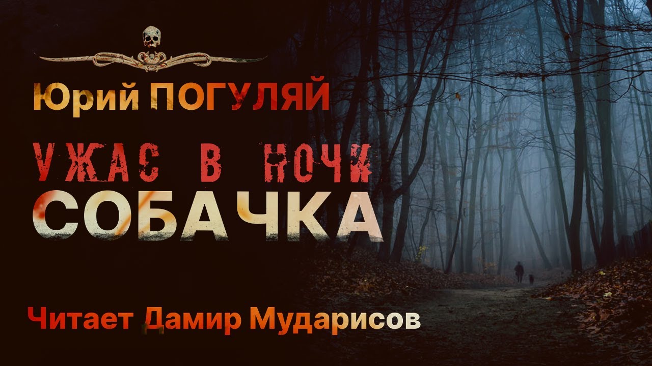 Застряли на проселочной дороге и попали в кошмар СОБАЧКА | Рассказ