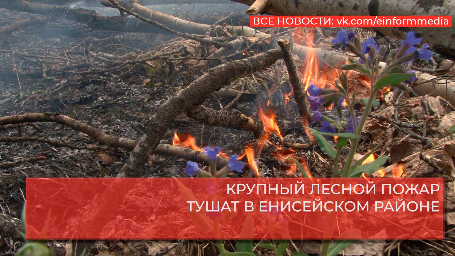 КРУПНЫЙ ЛЕСНОЙ ПОЖАР ТУШАТ В ЕНИСЕЙСКОМ РАЙОНЕ.mp4