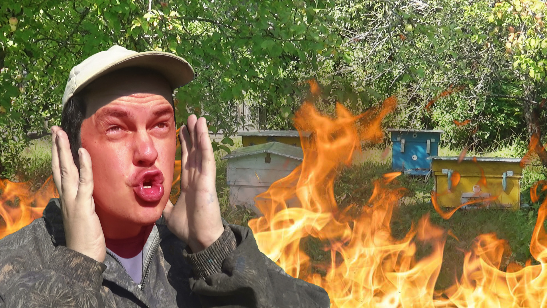 ЖЖЁТ ЛИЦО ПОСЛЕ ОТКАЧКИ МЁДА