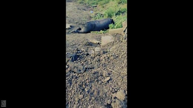 Еще немного юмора, вот это ВСУ