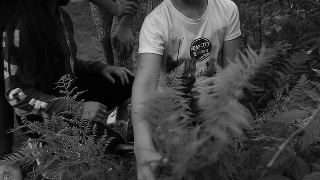 Зона отчуждения