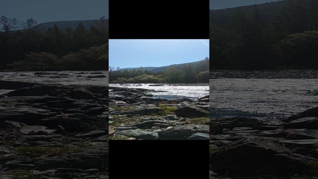 на реке Башкаус #shorts