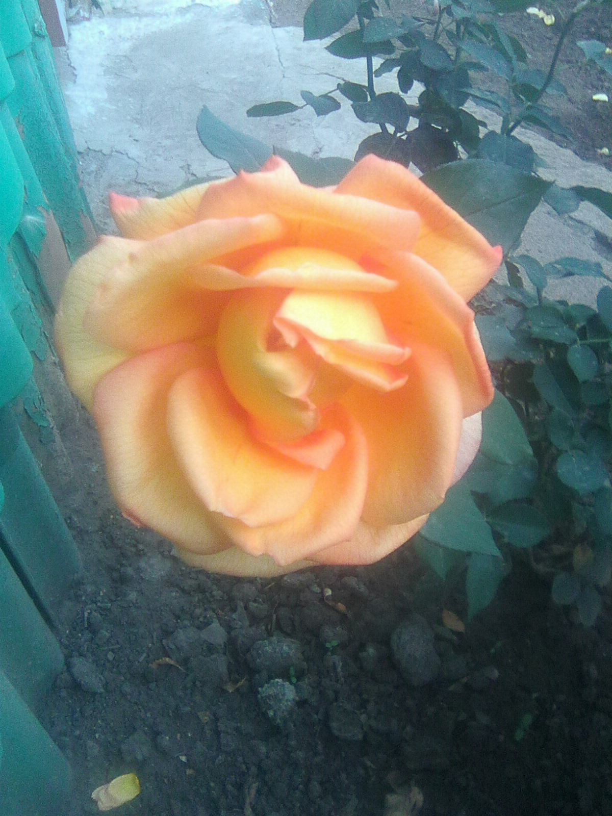 Поздравления женщин с праздником начало сезона 2023