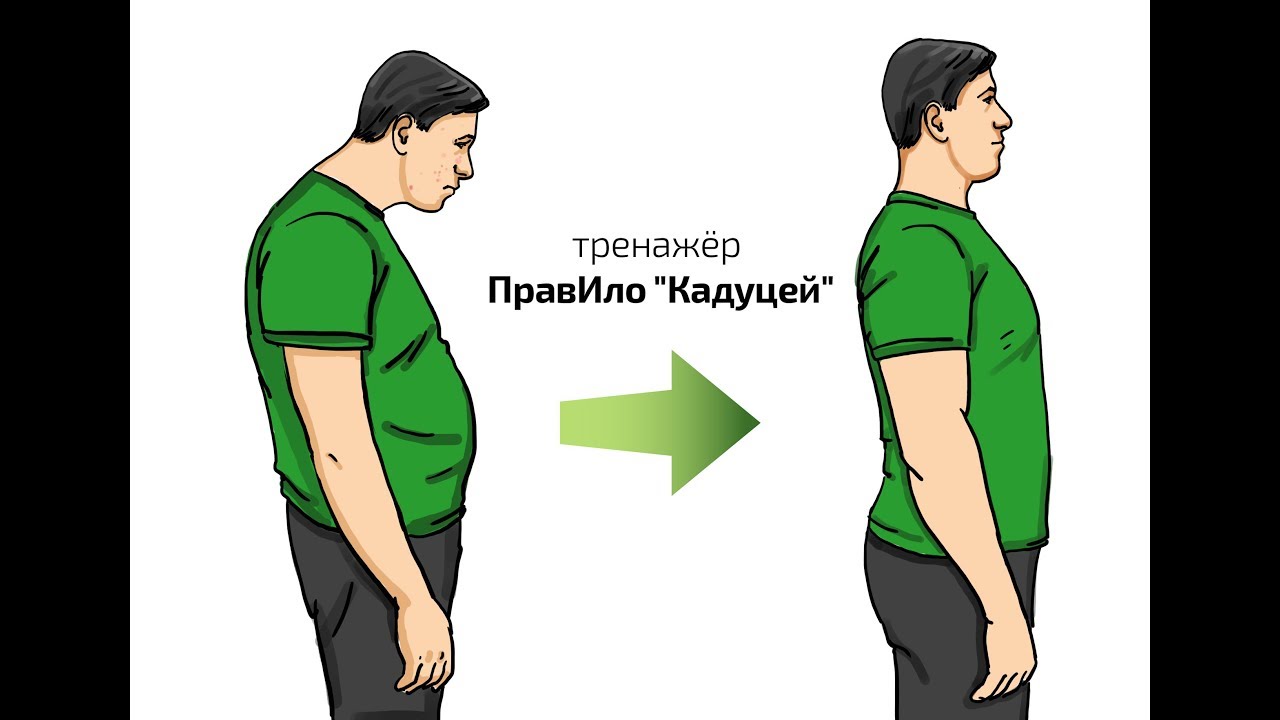 ✔ Тренажёр правИло "Кадуцей"