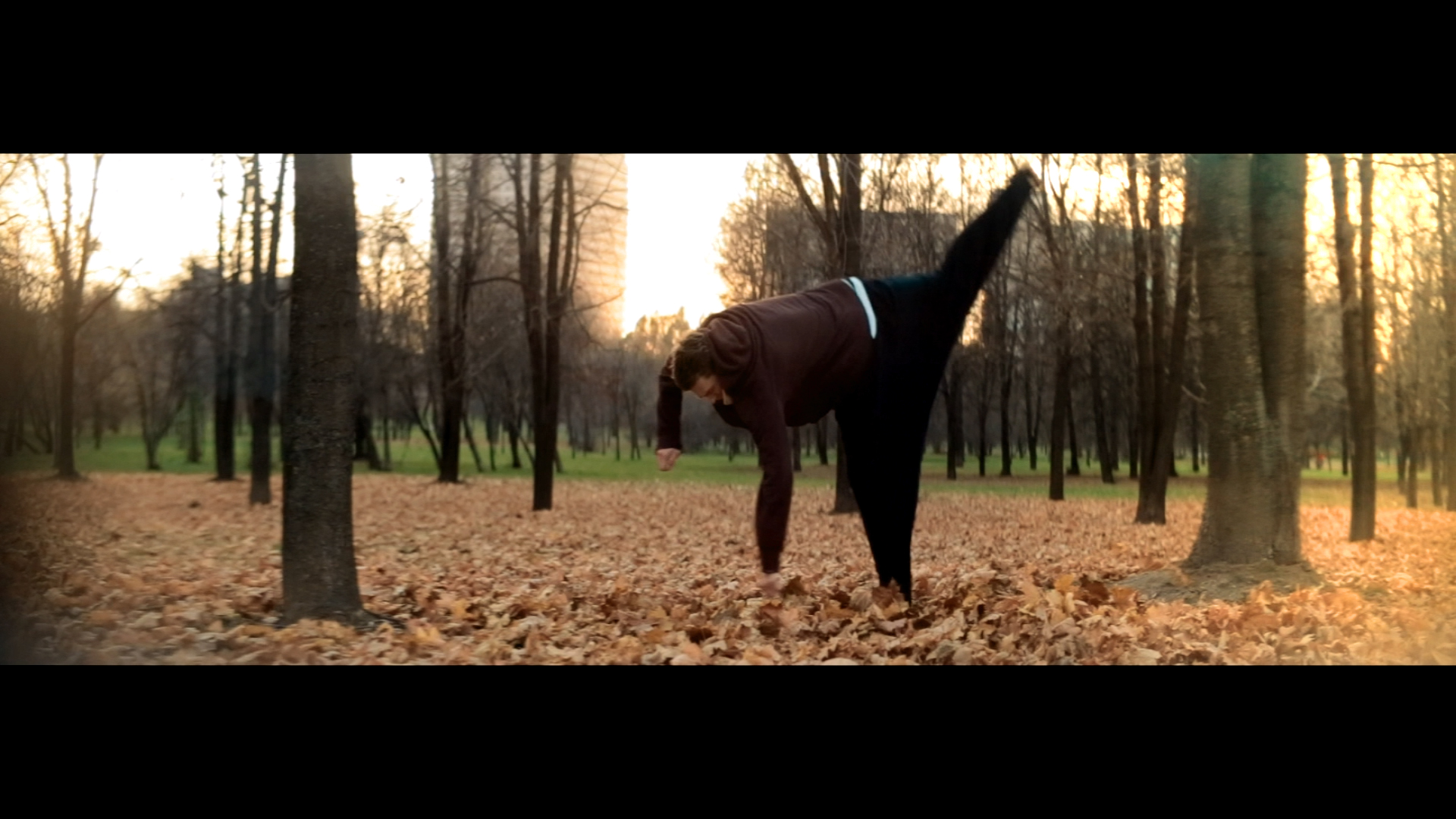 Анаморфотная насадка ЛОМО 35НАП-2-2