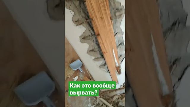 Деревянная_сколопендра___shorts__сколопендра__стройкаржака_#стройка #большенезанимаюсьремонтами