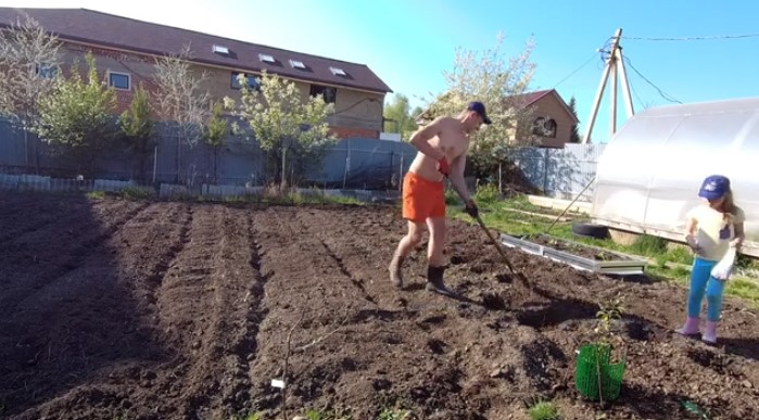 А у нас лето и семейная посадка картофеля / Коптим скумбрию