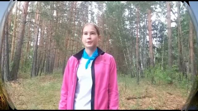 Онлайн-экскурсия на ООПТ "Памятник природы регионального значения "Урочище Зеленый борок""