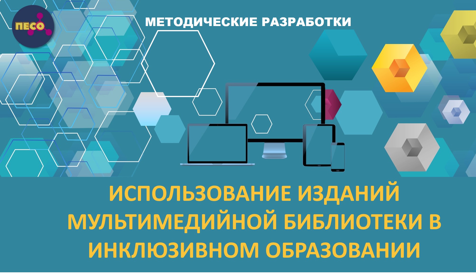 Использование изданий мультимедийной библиотеки в инклюзивном образовании