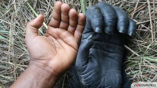 01. Человек - существо биосоциальное