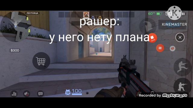 типы твоих тимейтов
