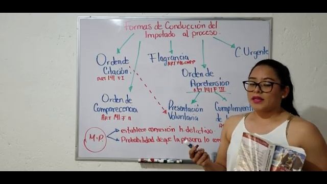 13.-Formas de conducción del imputado al proceso