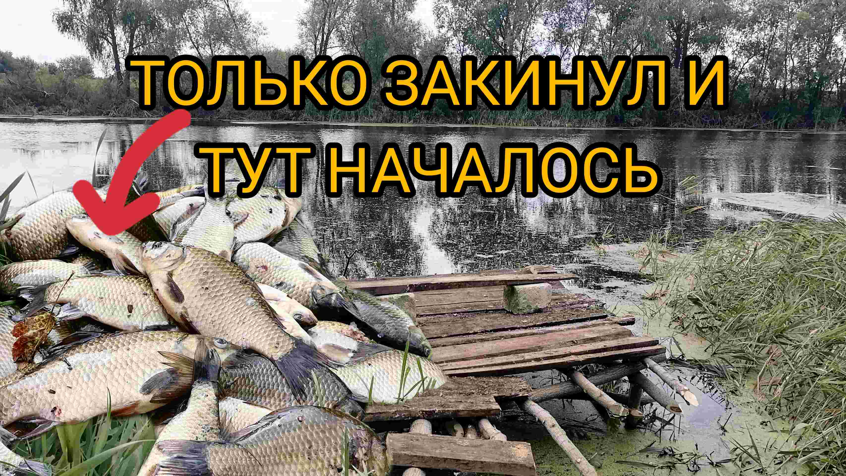 ТОЛЬКО ЗАКИНУЛ УДОЧКУ И ТУТ НАЧАЛОСЬ.