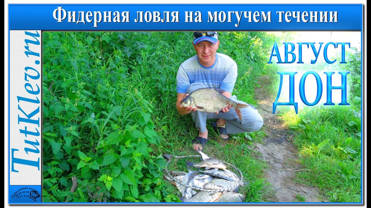 Фидерная ловля на течении Дона. Рыбалка в августе на реке.mp4