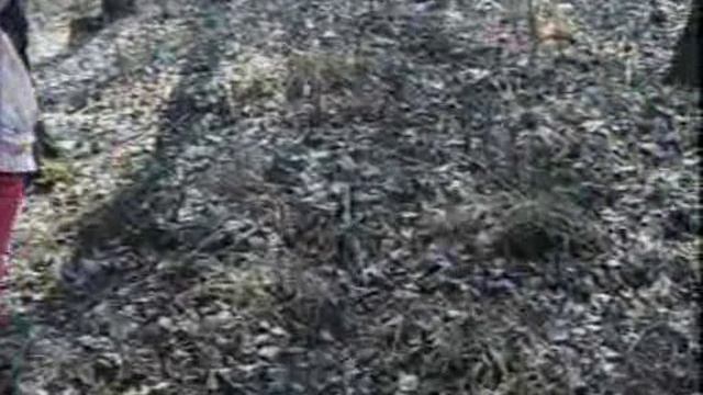 По проселочным дорогам с Маркизом