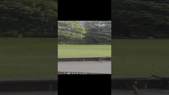 Какая красота памятник солженицын