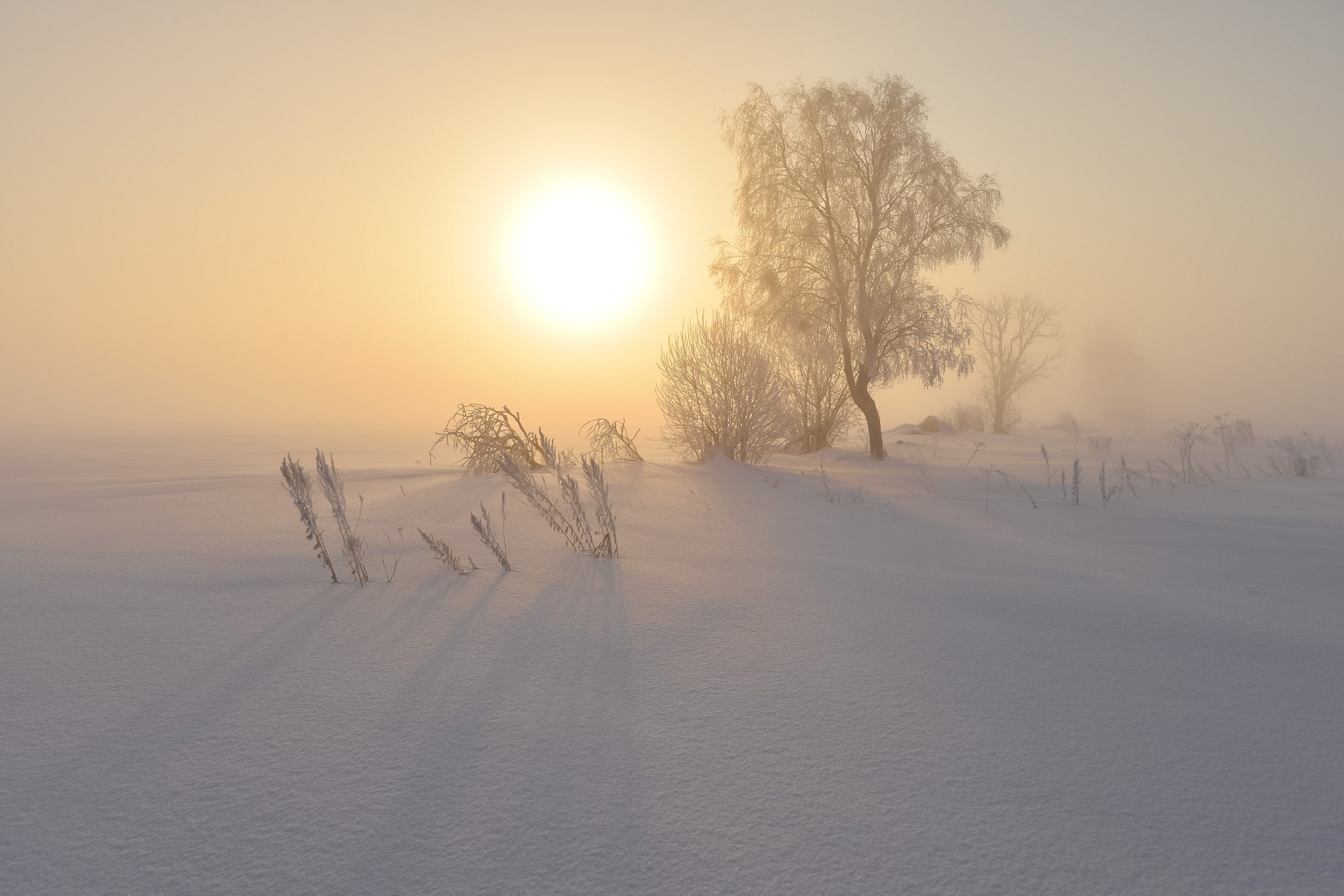 "ЭХ ТЫ, ВАНЯ!"... (Фото Вячеслава Зайцева (Волосово) - Поёт Иван Скобцов (запись 1954 г.))