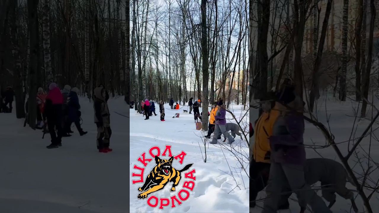 Бесплатное вводное занятие в Красногорске! Запись по ссылке в шапке профиля ❤️