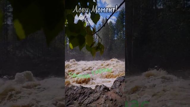 Лови Момент! Карелия. Водопад Гирвас. shorts