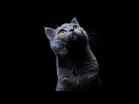 МИНУТКА ЮМОРА. ИЗ СЕМЕЙНОГО АРХИВА. ВЕДЬМИНА ИЗБА. ИНГА ХОСРОЕВА.mp4