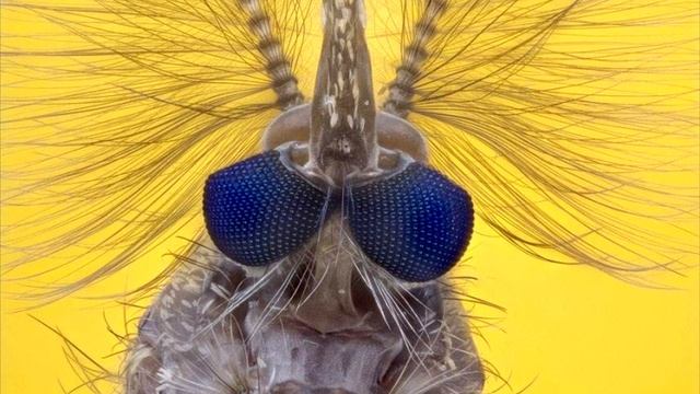 Ясенская коса..mp4