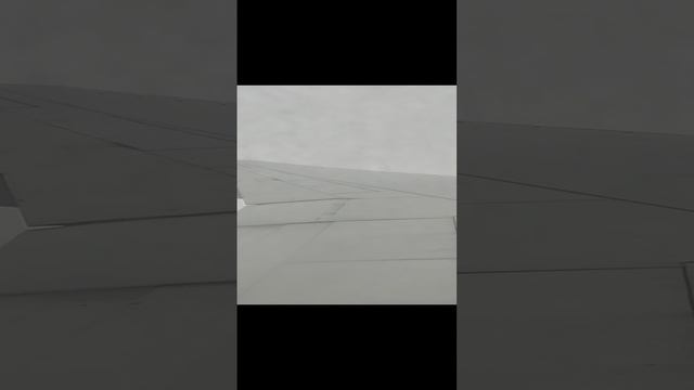 Почему бултыхается этот квадрат. Летим на Кубу. Тутси влог.