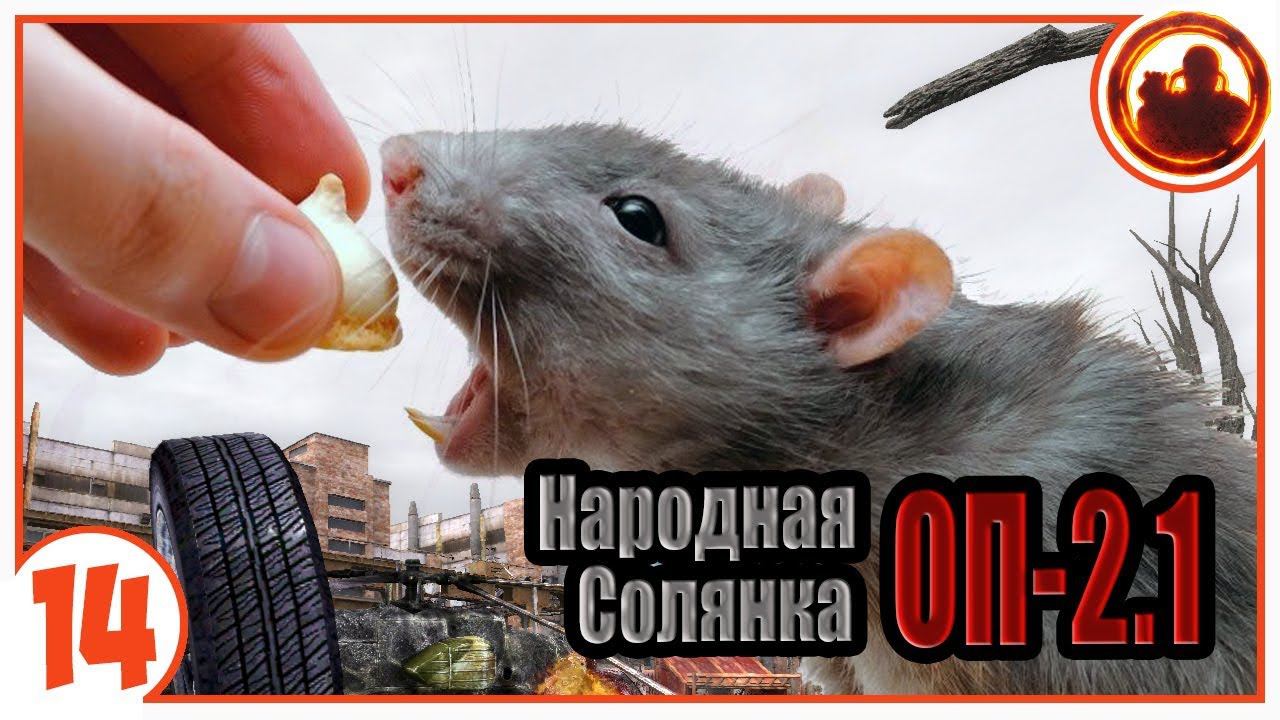 Поймал крысу мутанта. Народная Солянка + Объединенный Пак 2.1 / НС+ОП 2.1 # 014.