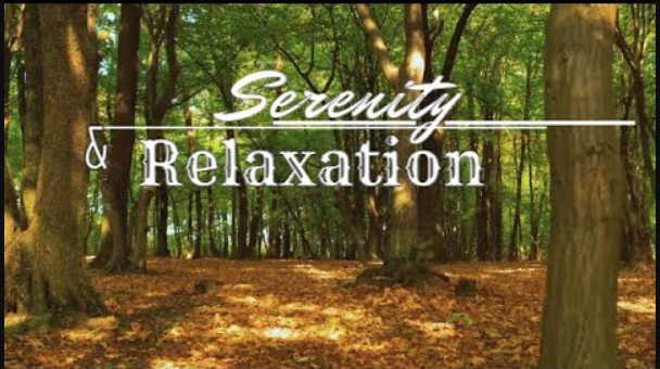 Расслабляющая музыка ⦁ Снятие стресса ⦁ Музыка для Глубокого Сна ⦁ Медитация