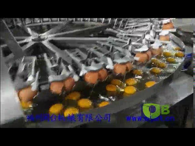 Сепаратор яиц на 2 фракции