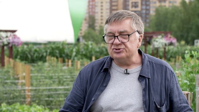 Бобы - практичная культура на вашей дачной грядке