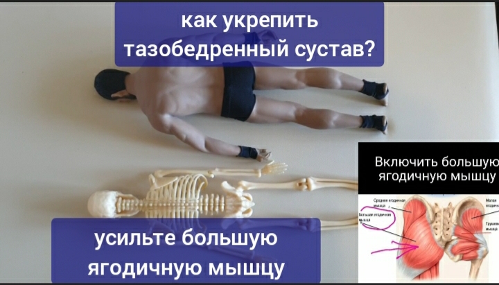 Ослабел тазобедренный сустав? Усильте большую ягодичную мышцу, освободите нижний ягодичный нерв