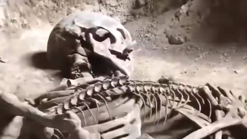 Обнаружен скелет Нефилима (падшего) – это Гибридный Великан в Библии!👆😲👍