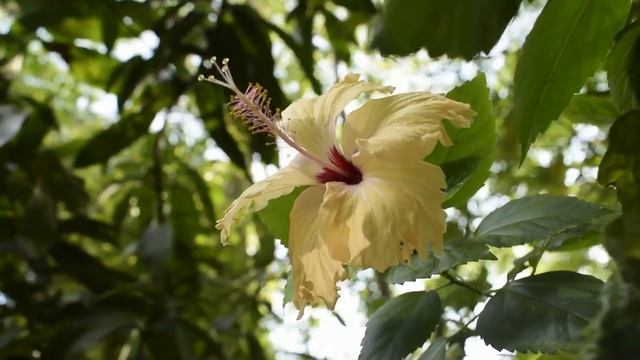 More Love, More Power - Chill Café