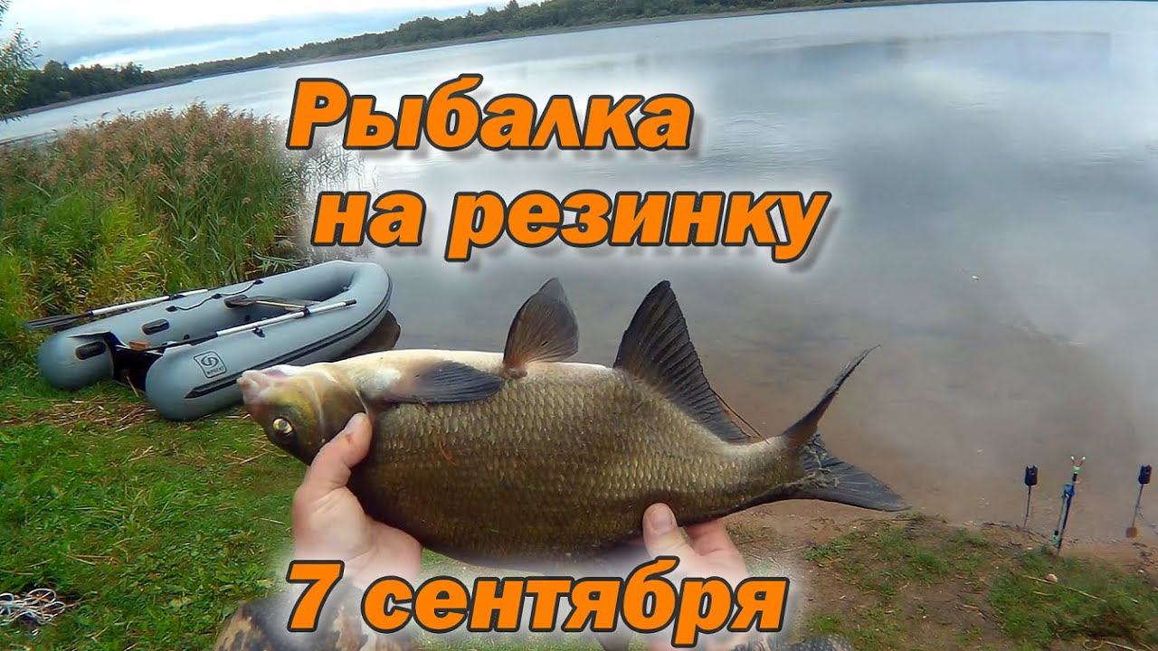 Рыбалка на резинку 7 сентября 2022