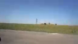 Из жизни Медведьевича. Картина от Гены