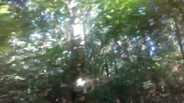 Поехали за дочкой в лагерь, заехали в Боровецкий лес