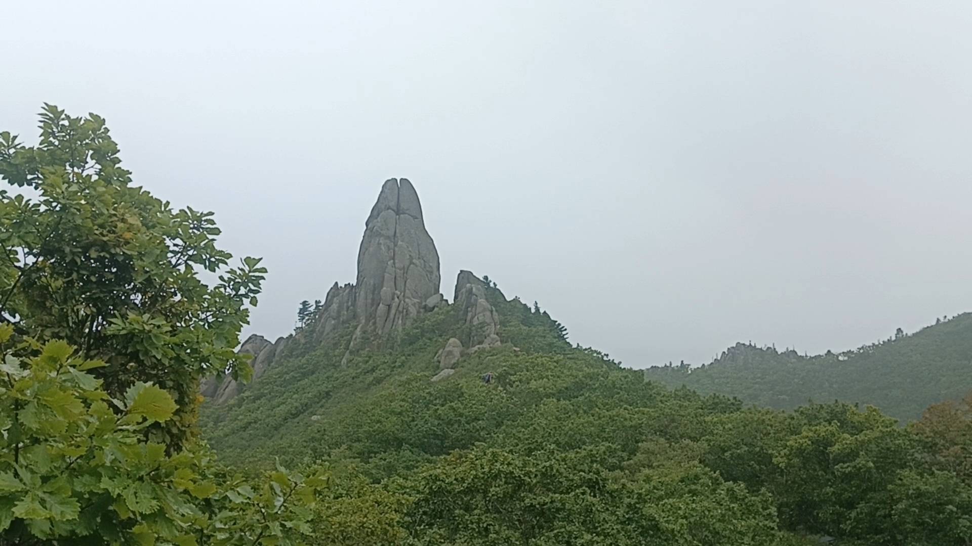 14-09-2024 Долина Атлантов, Приморский край