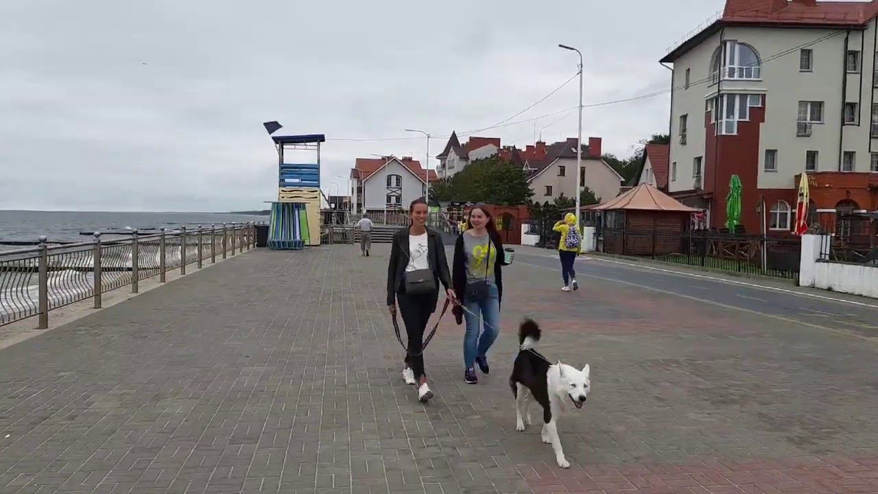 Прогулка к Балтийскому морю из санатория Теремок г.Зеленоградск Калининградская обл.