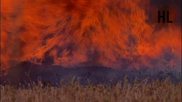 Антоновское восстание (Томбовский мятеж)
