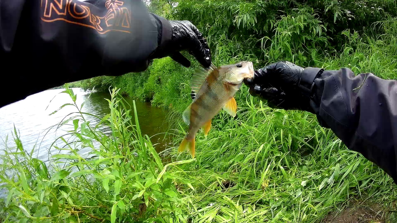 ЛОВЛЯ НА ФИДЕР.mp4