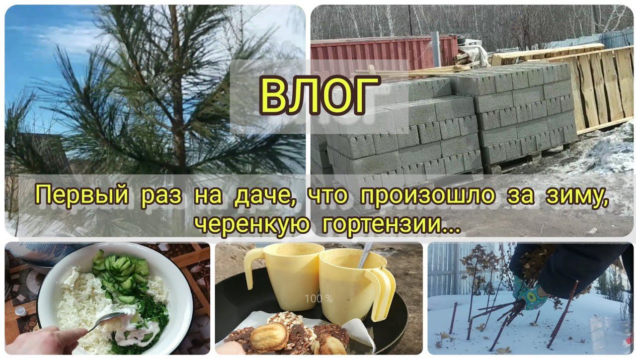 ВЛОГ: первый раз на даче, черенкую гортензии, осмотр участка, проблемы высоких грядок, мышиный след