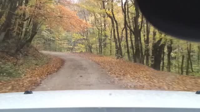 Ниберджай. Осень. Авторогулка.