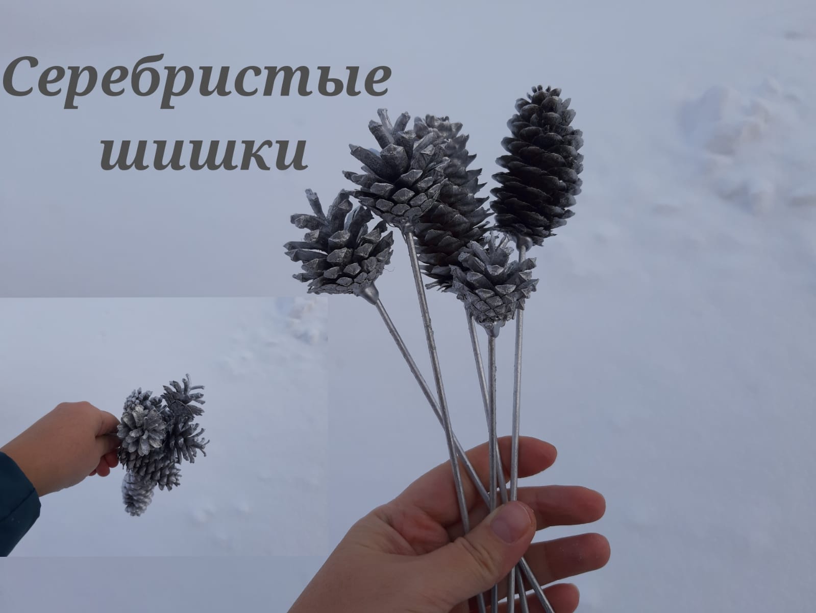 Как сделать СЕРЕБРЯНЫЕ ШИШКИ. Подготовка шишка перед декорированием/ we paint cones for crafts.mp4