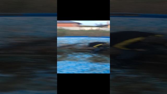 Чистка бассейна 2